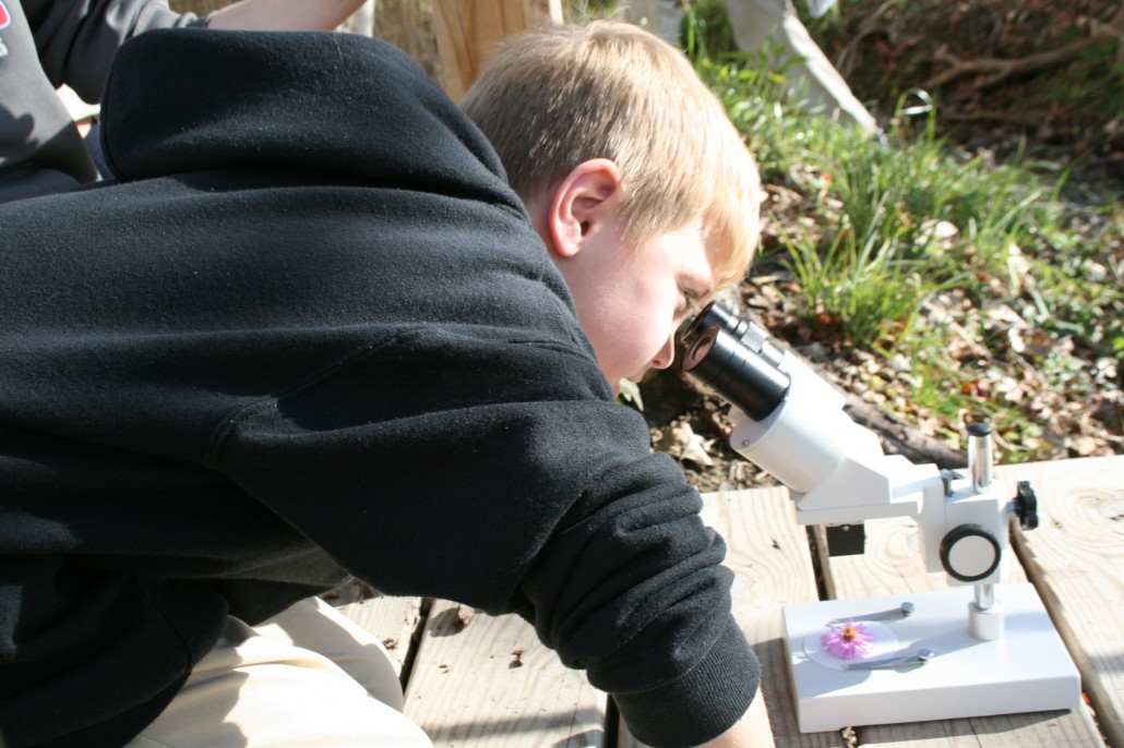 STREAM Curriculum – MaST Community Charter School