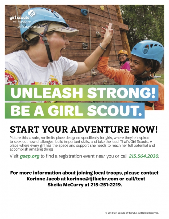 Interested in becoming a Girl Scout?! – MaST Community Charter School